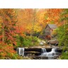 Autumn Splendor Fine Art Print by Elizabeth Carmel at FulcrumGallery.com