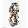 Mobius Strip Wall Poster by M.C. Escher at FulcrumGallery.com