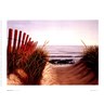 Beach Path Fine Art Print by Karl Soderlund at FulcrumGallery.com
