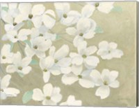 Dogwood Art and Dogwood Artwork at FulcrumGallery.com