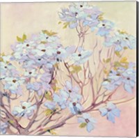Dogwood Art and Dogwood Artwork at FulcrumGallery.com