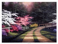 Dogwood Art and Dogwood Artwork at FulcrumGallery.com