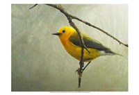 Chris Vest Wall Art and Prints | FulcrumGallery.com