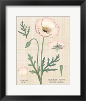 Poppy Art and Poppy Artwork for Sale at FulcrumGallery