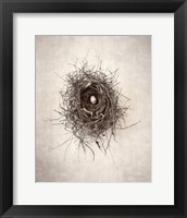 Animal Art and Animal Prints at FulcrumGallery.com