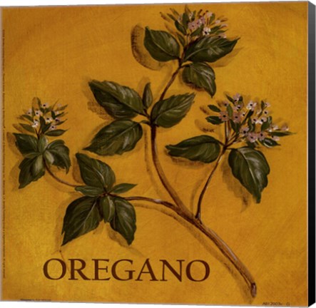Oregano Fine Art Print by Kate McRostie at FulcrumGallery.com
