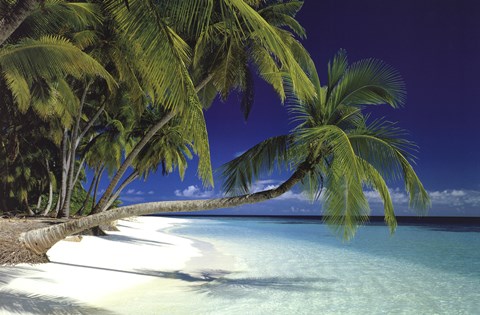 Maldives Beach Wall Poster by Unknown at FulcrumGallery.com