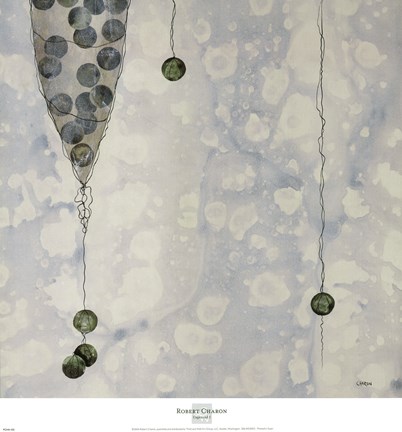 Captured I Fine Art Print by Robert Charon at FulcrumGallery.com