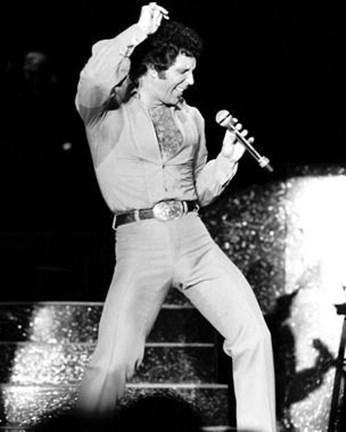 Tom Jones Fine Art Print by Unknown at FulcrumGallery.com