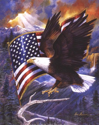 America's Pride Fine Art Print by Ruane Manning at FulcrumGallery.com