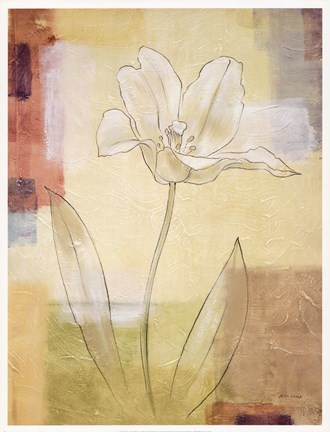 TULIP STUDY I Fine Art Print by Julianne Marcoux at FulcrumGallery.com
