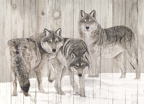 Wolf Pack Drawing In Pencil