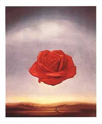 Meditative Rose, c.1958 Fine Art Print by Salvador Dali at ...