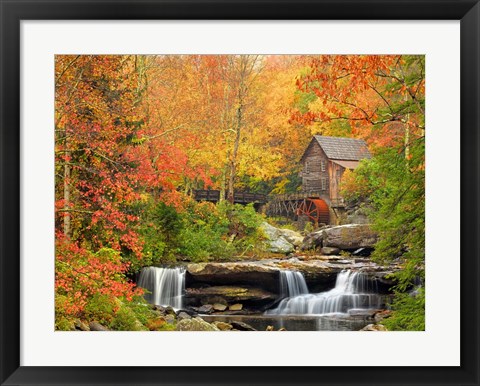Autumn Splendor Fine Art Print by Elizabeth Carmel at FulcrumGallery.com